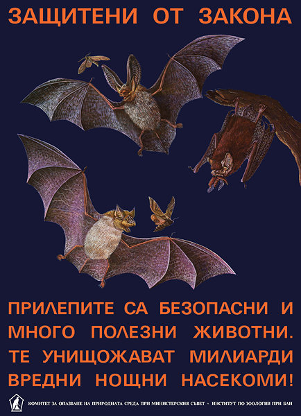 Graphic Art Exhibit: Posters Section: • Bulgarian Bats Protected By The ...