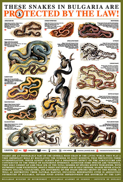 Graphic Art Exhibit: Posters Section: • Bulgarian Snakes Protected By ...